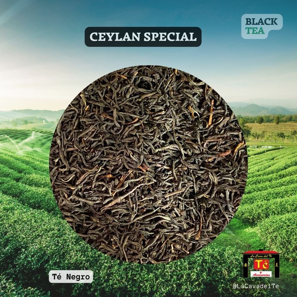 Ceylan Special – La Cava del Té
